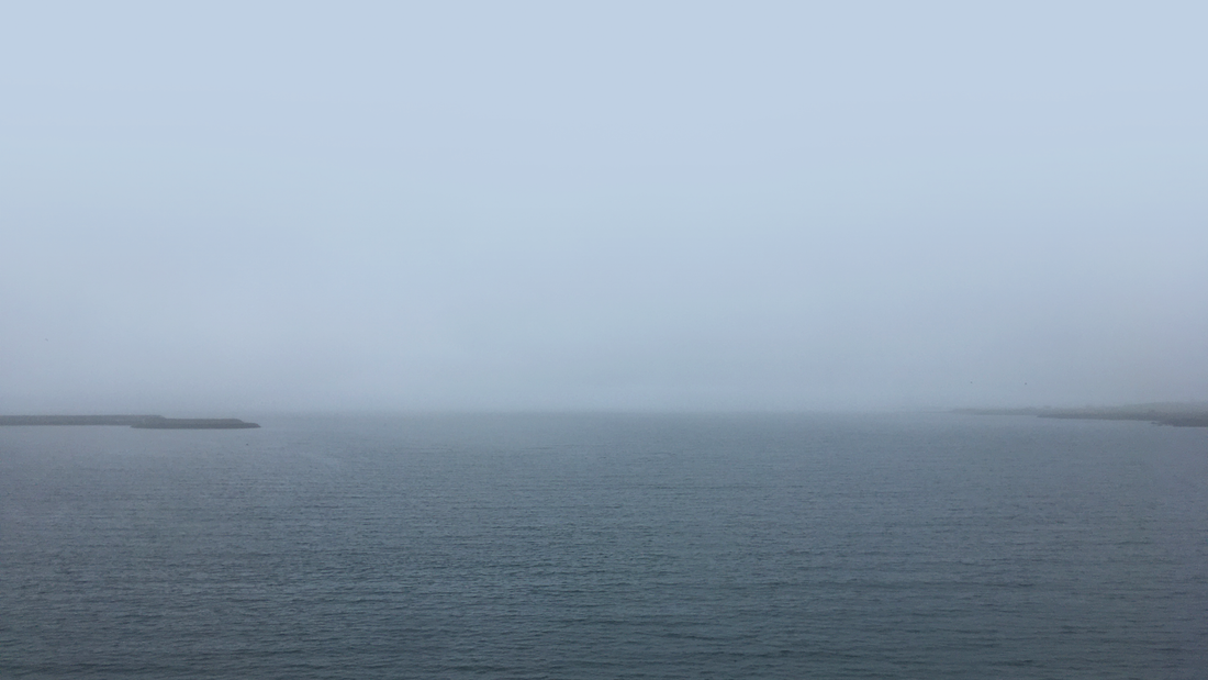 VíK Roasters – Vik Roasters